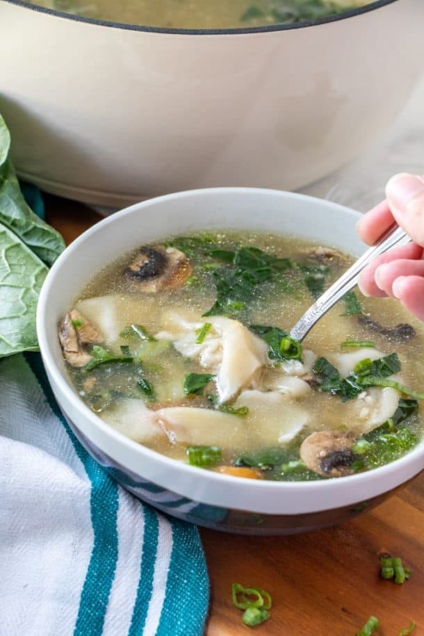 Wor Won Ton Soup - Noshing With the Nolands