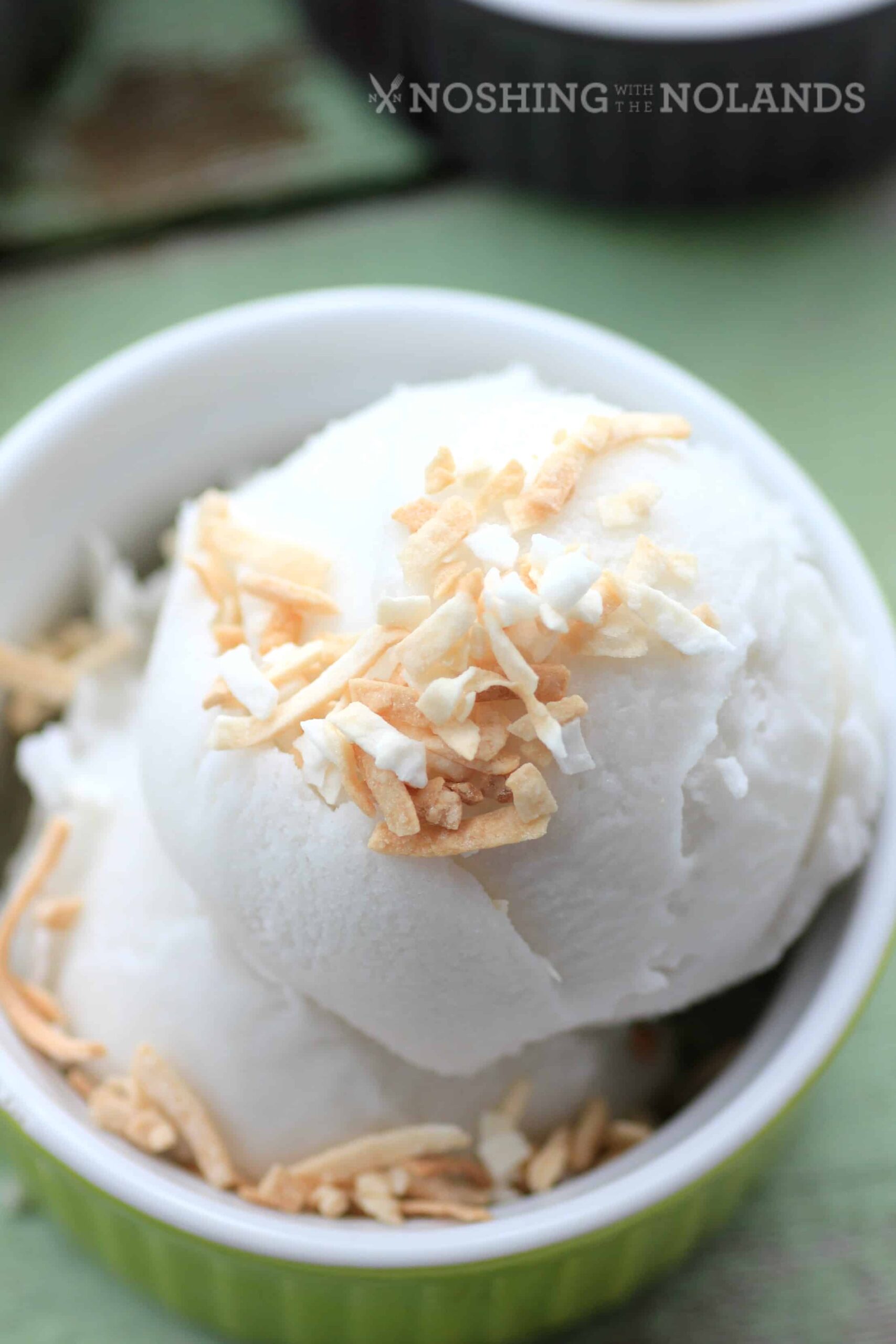 Coconut Ice Cream - Noshing With the Nolands