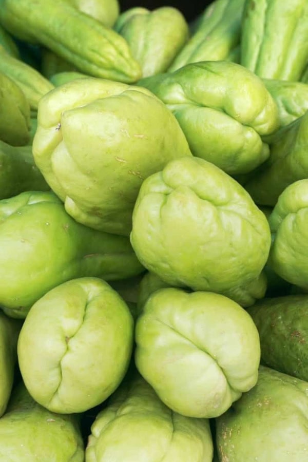 Chayote