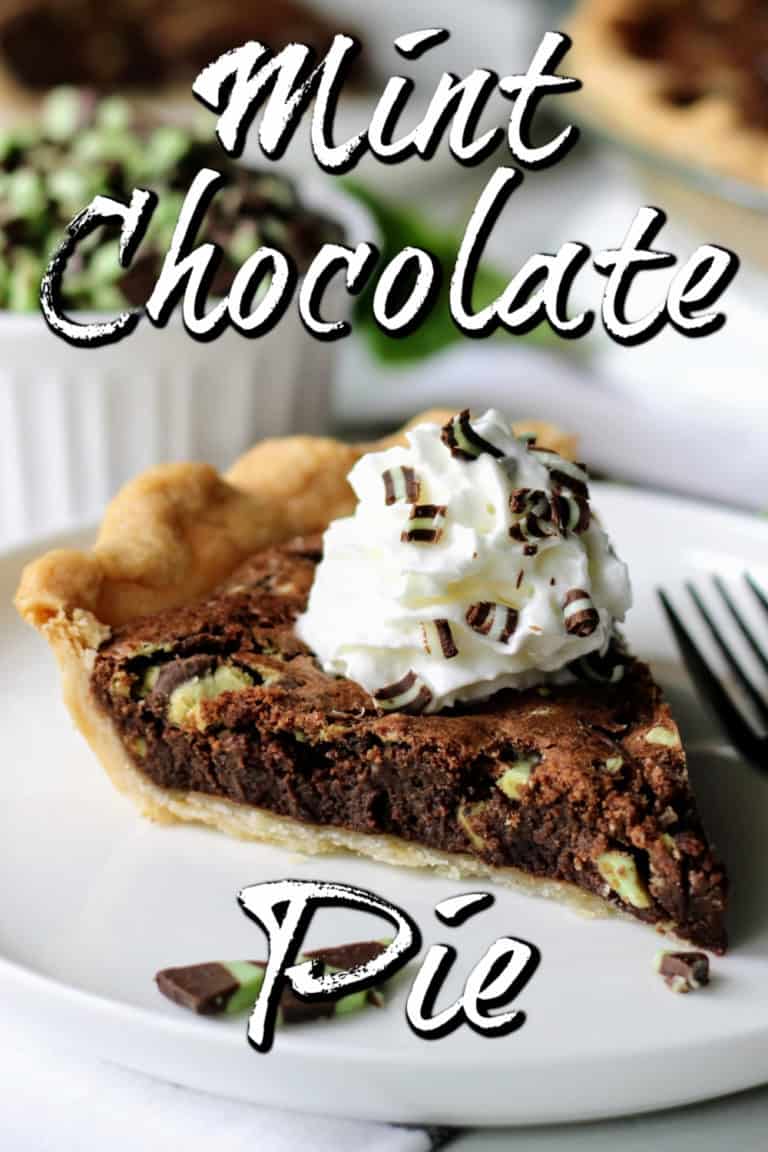 Amazing Mint Chocolate Pie - Noshing With the Nolands