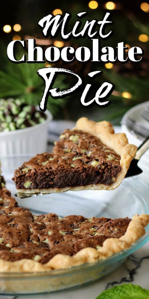 Amazing Mint Chocolate Pie - Noshing With the Nolands