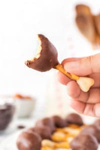 Thanksgiving Turkey Leg Candy - Noshing With the Nolands