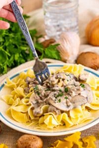 Ground Beef Stroganoff - Noshing With The Nolands