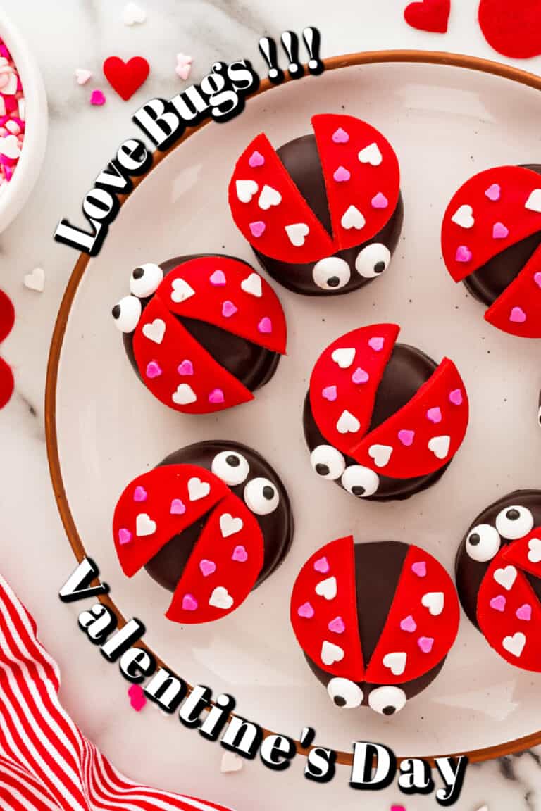 Love Bug Valentine's Day Cookies - Noshing With The Nolands