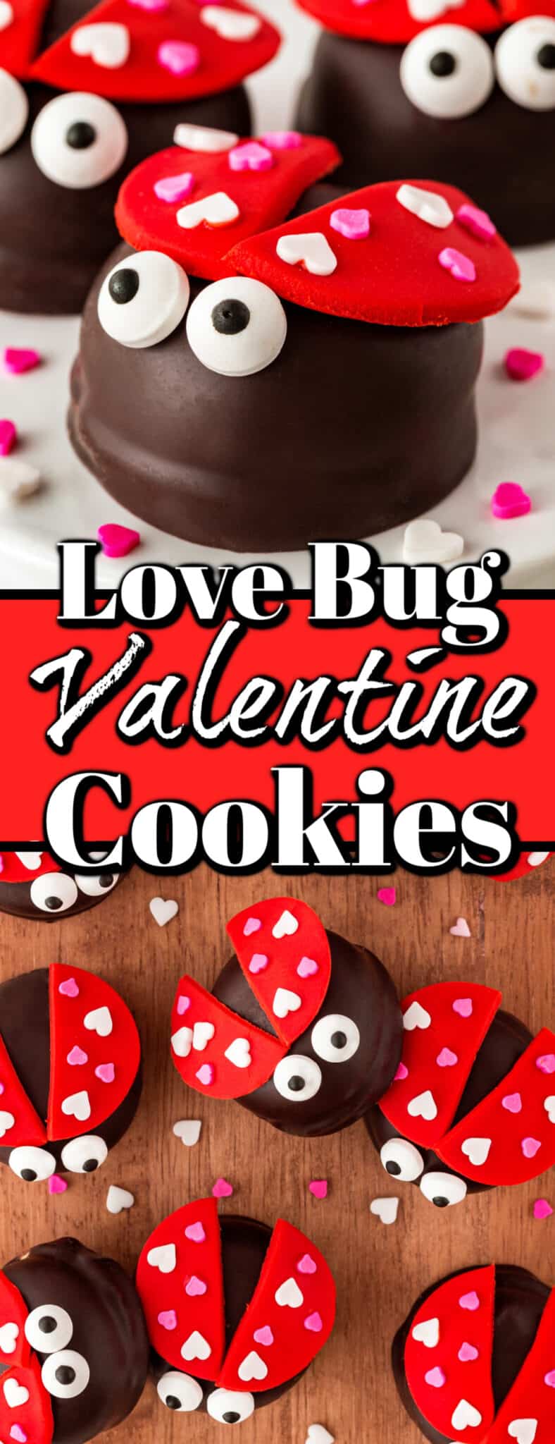Love Bug Valentine's Day Cookies - Noshing With The Nolands