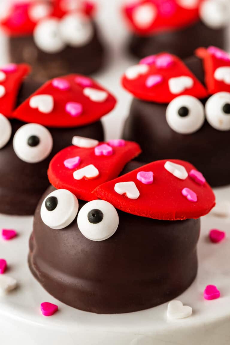 Love Bug Valentine's Day Cookies - Noshing With The Nolands