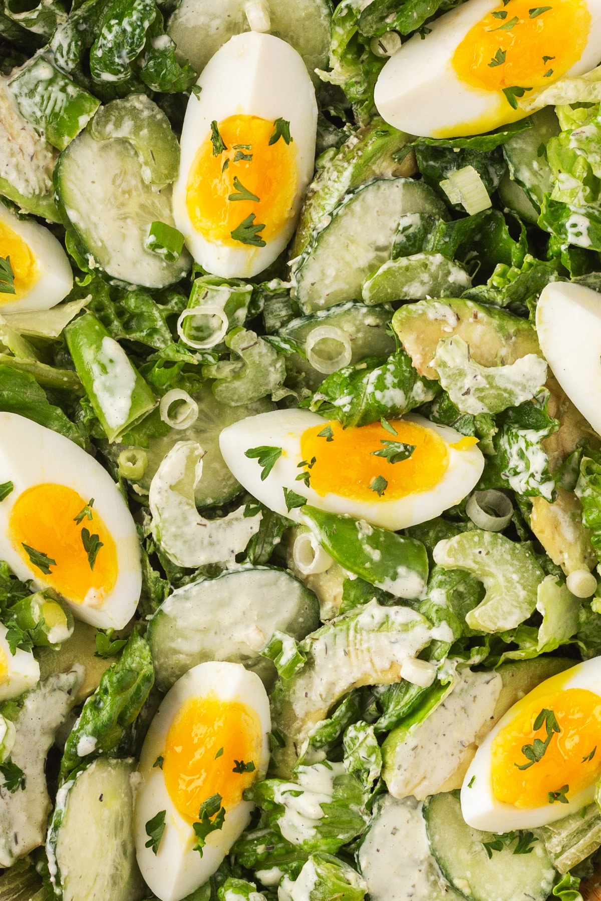California Salad with Jalapeno Ranch Dressing - NWTN