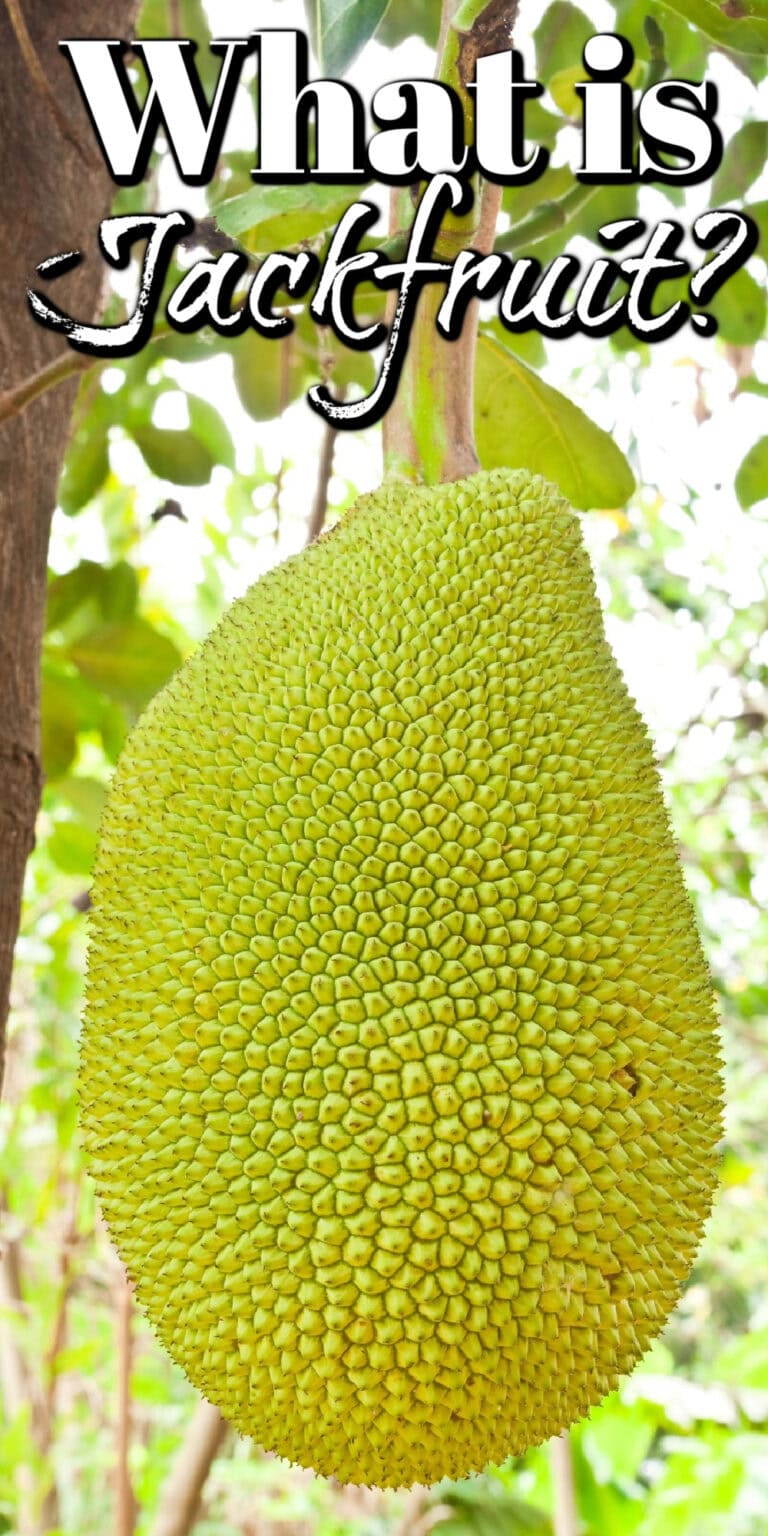 What Is Jackfruit? - Noshing With The Nolands