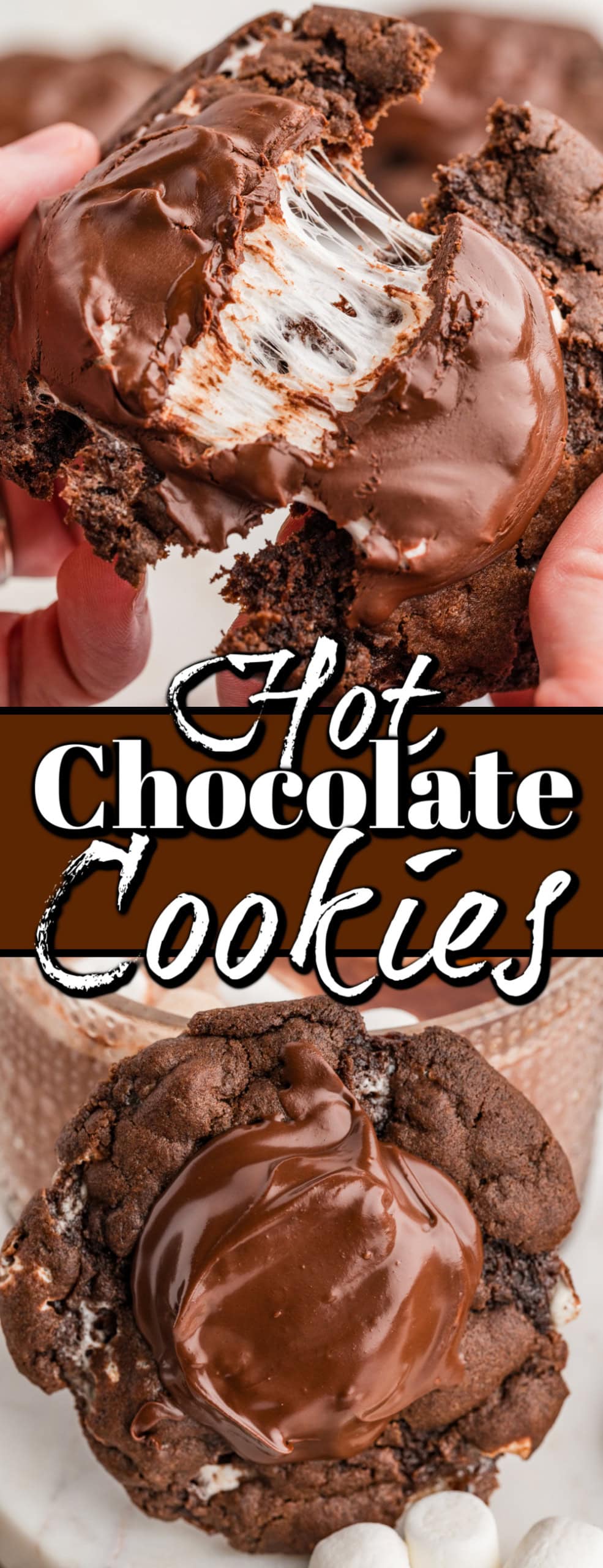 Hot Chocolate Cookies - Noshing With The Nolands