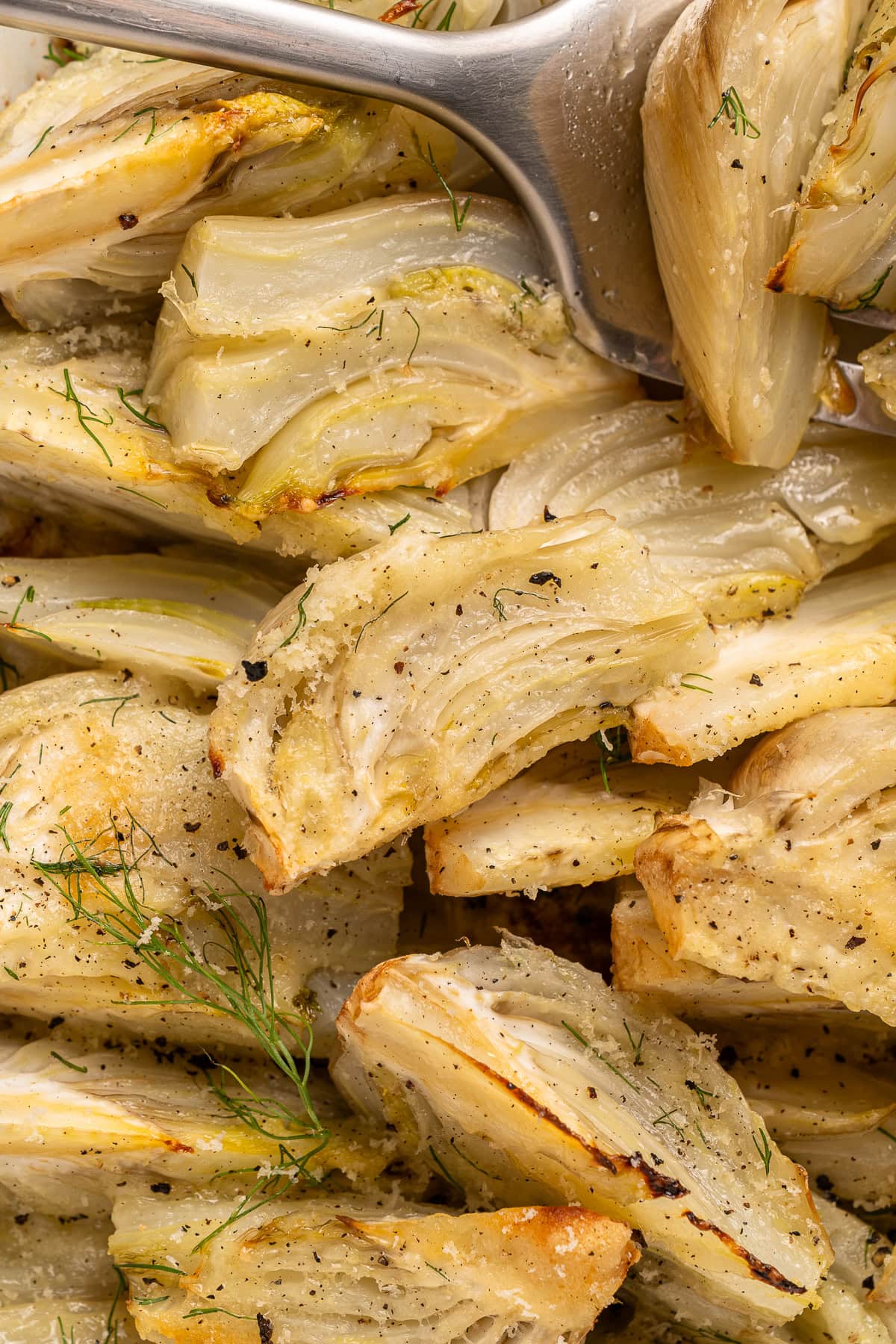 Baked Fennel with Parmesan Cheese - Noshing With The Nolands