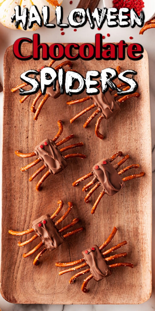 Halloween Chocolate Spiders - Noshing With the Nolands