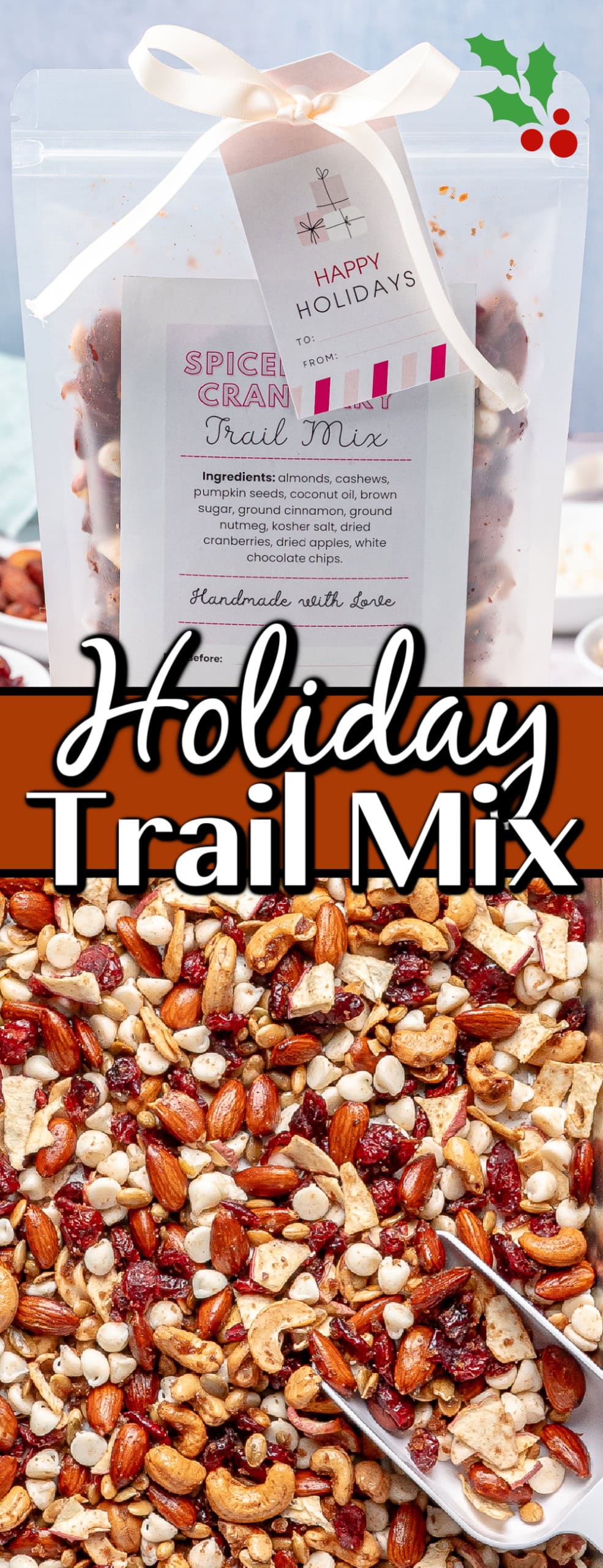 Trail Mix Recipe - Noshing With the Nolands
